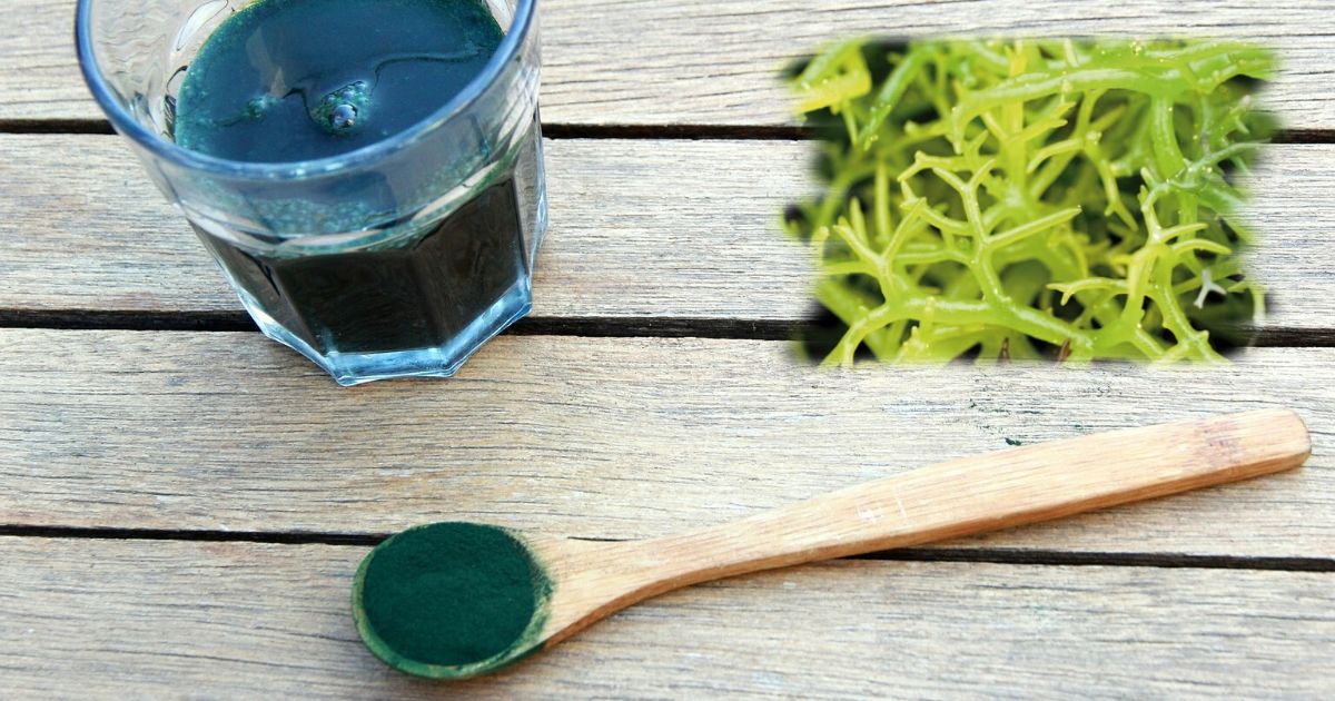 Spirulina | Nepgyogyaszat.com